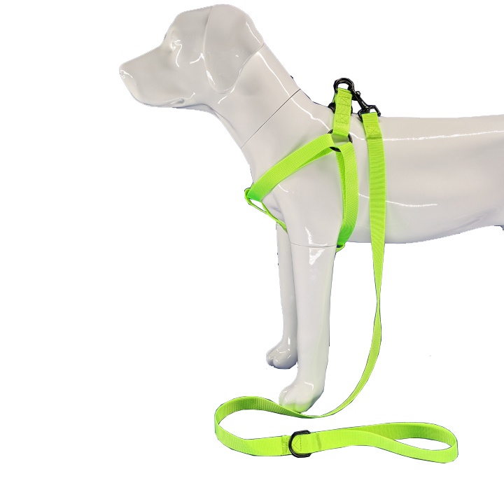 Fluorescent green dog harness