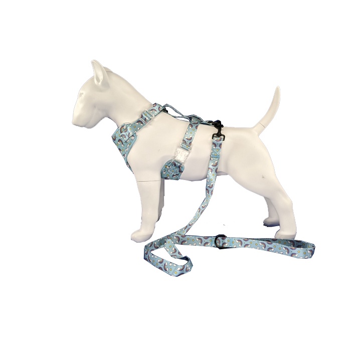 Personalized rainbow dog harness